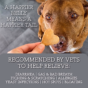 Primal Nutrition Probiotics for Dogs - Digestive Enzymes for Gut Flora, Digestive Health, Diarrhea & Bowel Support - Dog Supplement Soft Chew for Pet Immune System - Chicken