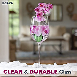 Ilyapa Extra Large 3500ml Wine Glass - Kitchen Bar Display Holder Giant Drink Glass White Elephant Gag Gift