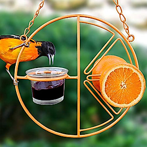 Heath Outdoor Products CF-133 Clementine Oriole Feeder , orange