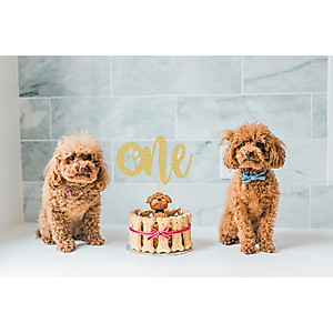 AHAORAY Paw Print One Cake Topper - Gold Glitter Pet Dog First Birthday Cake Decorations Supplies - Pet Puppy Theme Party Cake Decor, for Pet Birthday Party, Baby Shower Favors or Photo Booth Props