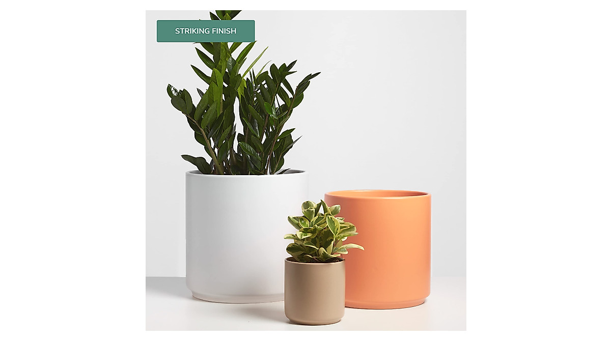 Classic 12 Inch White Ceramic Planter by Peach & Pebble