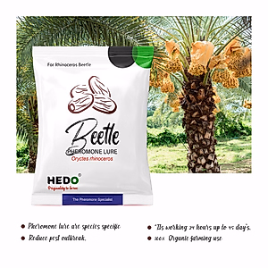 HEDO Beetle Lure Pack of 10| Pheromone Lure for Rhinoceros Beetle (oryctes Rhinoceros) for Coconut & Palm Tree