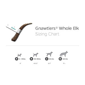 Pet Parents® Gnawtlers® - Premium Elk Antlers for Dogs, Naturally Shed Elk Antlers, All Natural Elk Antler Dog Chew, Specially Selected from The Heartland Regions (Large)