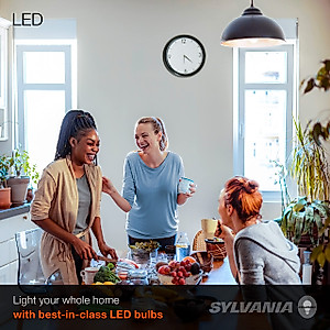 SYLVANIA LED A19 Light Bulb, 40W Equivalent, Efficient 6W, Medium Base, Frosted 5000K Daylight, 12 Pack