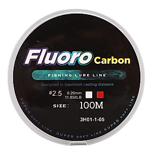 EVTSCAN 100M Super Strong Nylon Fishing Lure Line Carp Wear Resistant Braided Fishing Main Line(#2.5)