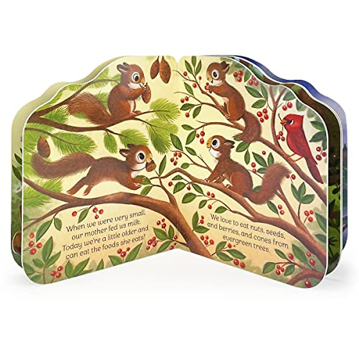 A Little Squirrel - An Animal-Shaped Children's Board Book, Ages 1-5