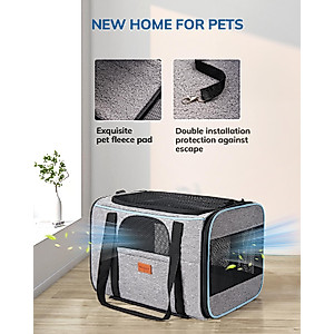 Morpilot Cat and Dog Carrier with Detachable Wheels - Airline Approved Rolling Carrier for Small Pets and Cats - Foldable Pet Travel Bag