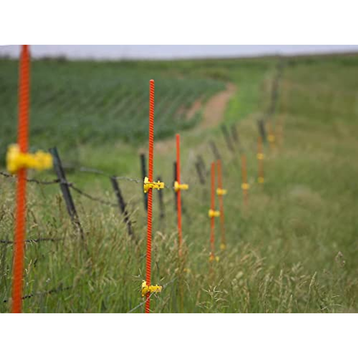 Five-Pack EZ Step-in Posts | Midnight Black or Safety Orange | EZ Step Products (Safety Orange)