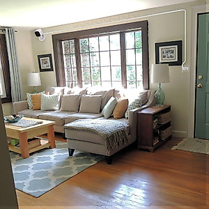 Zeshbit 25ft/7.5m Power Cable for Blink Mini Security Camera, Extension USB Cable Continuously Charging Your Blink Mini Indoor Plug-in Smart Camera (Plug and Camera are Not Included)