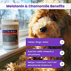 PawMedica Calming Chews for Dogs - Dog Sleep Supplement Melatonin for Dog Anxiety - Recommended Dog Calming Treats for Separation Anxiety and Barking Stress - Dog Melatonin Calming Bites for Fireworks