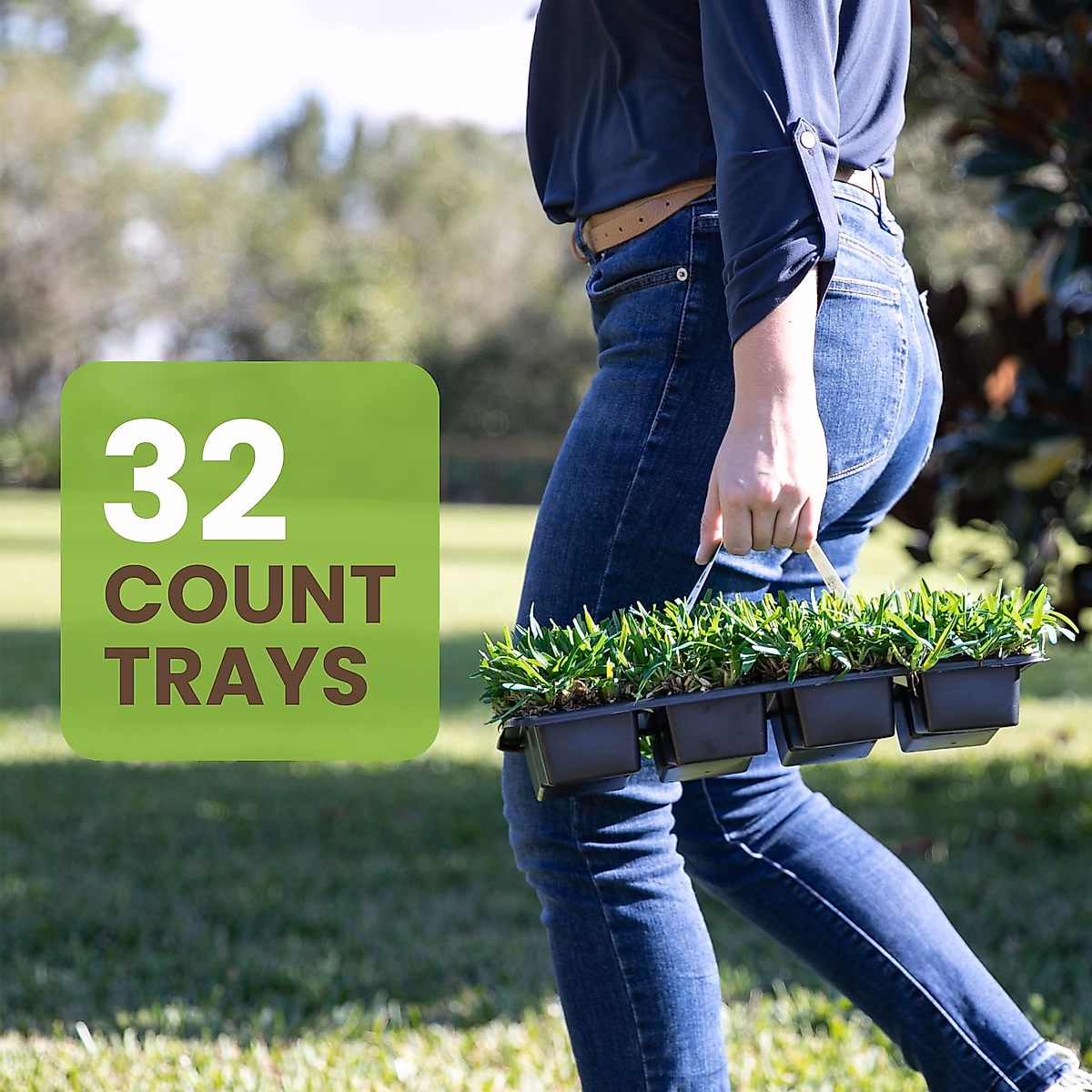 Cannot Ship to California/AZ SodPods® St Augustine Floratam Grass Plugs (32-Count) Natural, Affordable Lawn Improvement