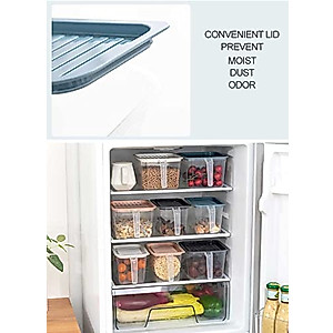 SERENITA Food storage containers bins with Handle Lids, 1 Qt 4 pieces stackable Set of 4 BPA Free. Pantry bins for kitchen refrigerators. Keep meal cereal flour sugar