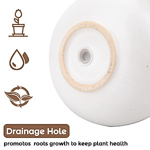 Chonsun Ceramic Planter with Saucer 6 Inch Plant Pots Indoor Oudoor Planter with Drainage Hole Flower Pots Succulent Plant Pots Mid-Century Ceramic Planter White