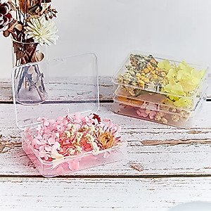 Qeirudu 12 Pack Small Plastic Boxes with Hinged Lids, Rectangle Clear Craft Storage Containers with Lids Plastic Boxes for Beads, Jewelry and Other Small Items (4.5 x 3.3 x 1.1 Inch)