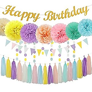 Pastel Rainbow Birthday Party Decorations - 30pcs Tissue Pom Poms Streamers,Garland Backdrop Decor Bunting Children Adults 1st 16th 18th 25th 30th 40th 50th Happy Birthday Banner Panduola