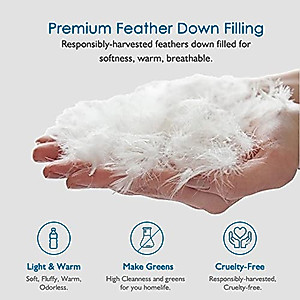 Dafinner Feathers Down Comforter Queen - Geometric Quilted Blanket with Corner Tabs, 55oz Medium Warm All Season Duvet Insert or Stand-Alone Comforter (90x90, White)