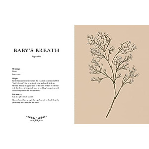 Floriography: An Illustrated Guide to the Victorian Language of Flowers (Volume 1) (Hidden Languages)