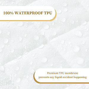 Quilted Fitted Queen Mattress Pad Cover, Waterproof Mattress Protector, Deep Pocket Elastic Fits Up to 21'', Breathable Soft Alternative Filling Mattress Pad