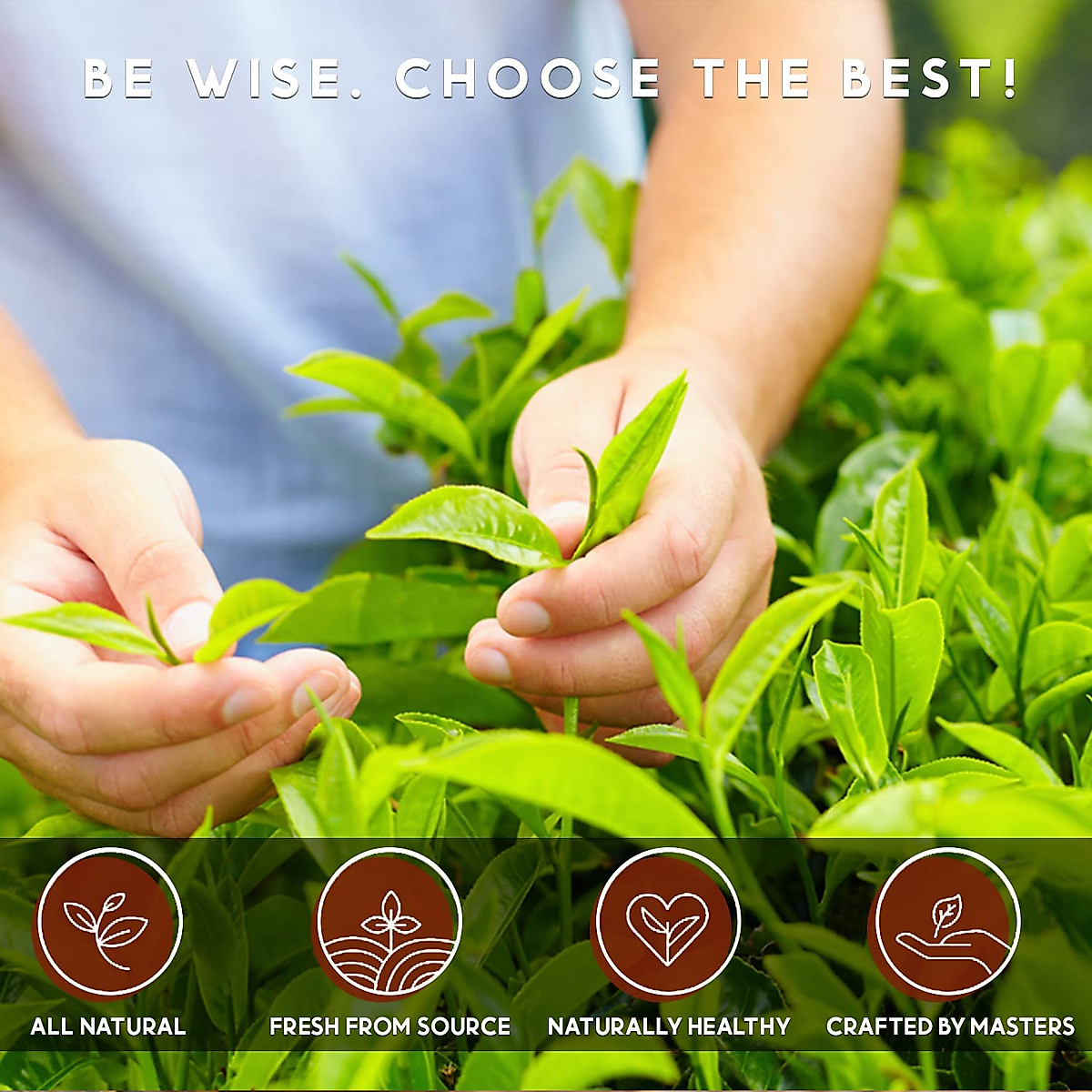 Organic Black Tea Pods for Keurig - Naturally Caffeinated Tea for KCup - Premium Unsweetened Black Tea for Hot Tea Brewing or Iced Tea by Teavity (36 Tea Pods)