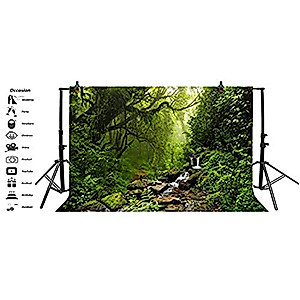 LFEEY 10x8ft Graceful Natural Scenery Backdrop Evergreen Forest Jungle Rock Flowing Mountain Stream Rainforest Photography Background Birthday Party Events Photo Studio Props