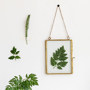 Mr. Pen- Double Headed Picture Hanging Nails, 50 Pack, Black, Picture Nails, Tacks for Wall Hangings, Wall Pins for Hanging, Wall Nails for Hanging, Thumb Tacks for Wall Hanging, Picture Hangers