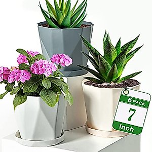 WYZGFRQS 7 Inch Plant Pots 6 Pack, Planters for Indoor Plants, Plastic Plant Pots with Drainage Holes and Saucers, Modern Flower Pots for Succulents, Snake Plant, African Violet, and Cactus