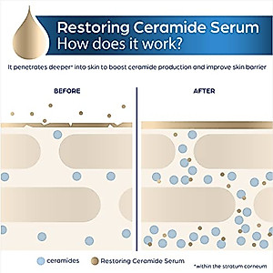 Dove Body Love Pampering Body Lotion for Silky, Smooth Skin Shea Butter Softens and Smoothes Dry Skin, White, 13.5 Oz, 3 Count