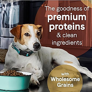 CANIDAE Pure Limited Ingredient Premium Adult Dry Dog Food, Real Salmon & Barley Recipe, 4 lbs, with Wholesome Grains