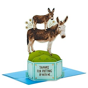 Hallmark Funny Pop Up Birthday Card from Son or Daughter (Donkeys, Pain in the...) Paper Wonder Shoebox 3D Card