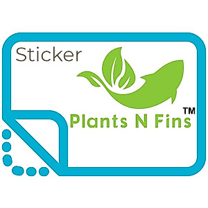 Mystery Snails (3 Pack) Assorted + Food Sample | Live Arrival Guarantee Freshwater Live Aquarium Snails (Assorted)