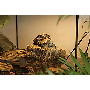 Reptile Light Fixture w/ 5pcs Uniform UVB UVA Bulbs 5.5inch Deep Dome Reptile Habitat Heat Lamp Turtle Basking Light for Tortoise Lizard Gecko Snake Bearded Dragon Terrarium Aquarium Tank etc