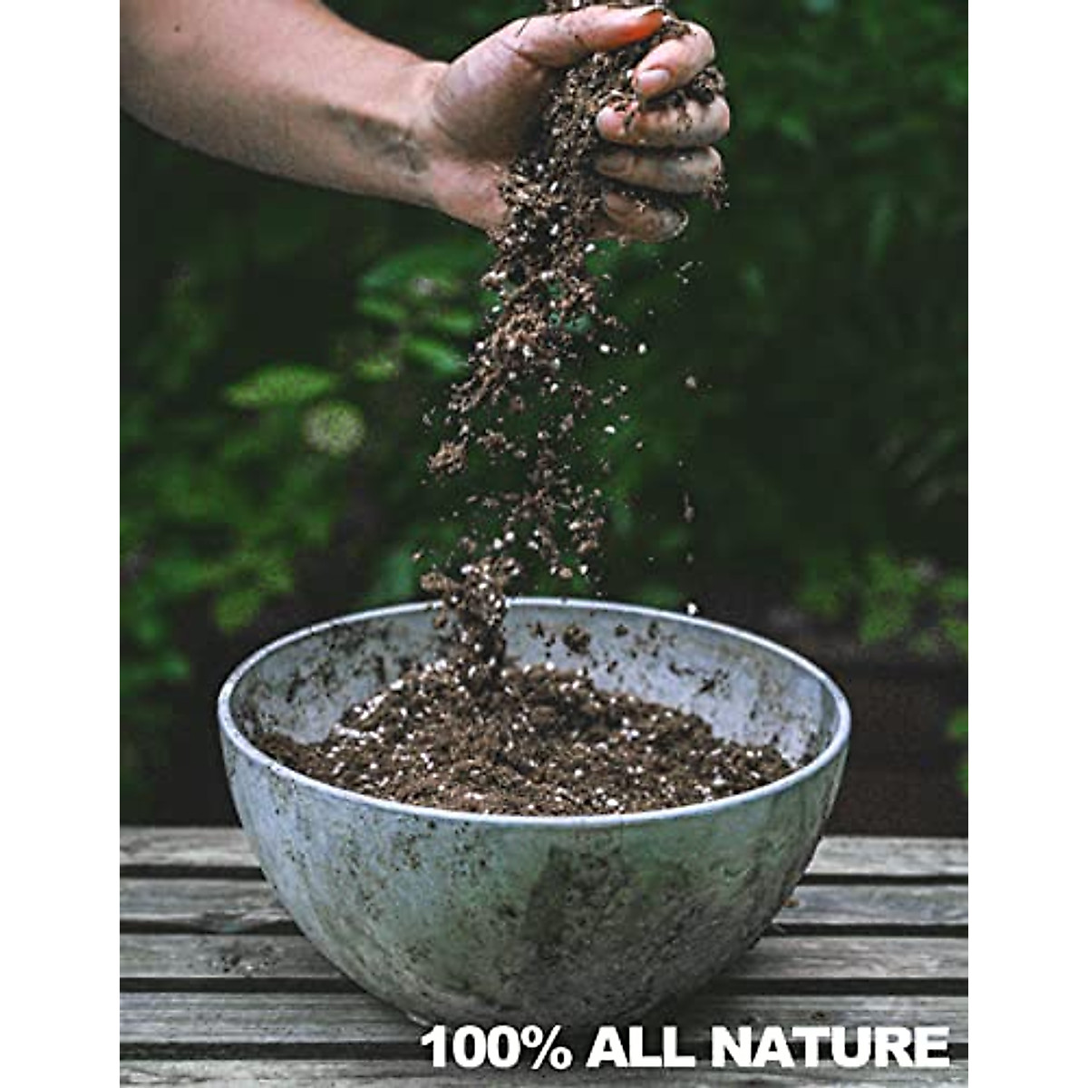 Carnivorous Plant Soil Mix, 1 QT Small Size Bag for Repotting, All Natural Ingredients Great for Venus, Sundews, and Pitcher Plants