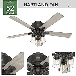 Hunter Hartland Low Profile Indoor Ceiling Fan with LED Lights and Pull Chain, 52", Noble Bronze