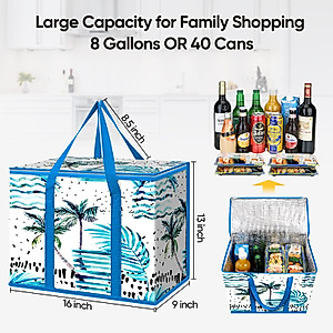 BALEINE 2Pk Insulated Reusable Grocery Bags, Collapsible Cooler Bag for Groceries, Heavy Duty Large Insulated Bag (Island Breeze)