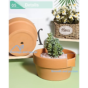 vensovo 8 Inch Terracotta Shallow Succulent Pot - 2 Pack Large Terra Cotta Clay Pot with Saucer, Cacuts Indoor and Outdoor Planters with Drainage Hole