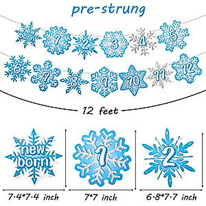 Snowflake First Birthday Party Decoration Snowflake Theme 1st Birthday Photo Banner for Newborn to 12 Months for Baby Shower Winter Onederland Party Supplies