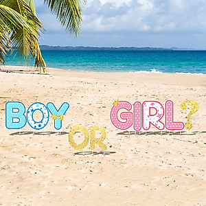 Chinco 10 Pieces Gender Reveal Party Decorations Supplies Baby Shower Plastic Yard Signs Outdoor Letters Lawn with Stakes for Indoor Garden (Boy or Girl)