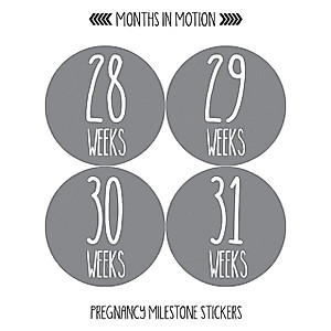 Months In Motion Weekly Pregnancy Growth Sticker | Week to Week Pregnant Expecting Photo Prop | Maternity Keepsake | Baby Bump | Weekly Stickers Photo (Set of 36 Stickers)