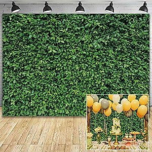 Msocio 8x6ft Durable Polyester Fabric Spring Greenery Leaves Grass Nature Photography Backdrop for Birthday Wedding Safari Dinosaur Baby Shower Party Decorations Background Portrait Photo Booth