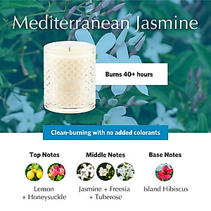 AGRARIA Scented Candles, Long-Lasting Premium Soy Wax Candles, Vegan, Scented Candles for Home, Elegant Home Fragrance Scented Candles Gifts, 7oz