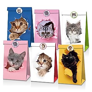 Cat Bag,Kitty Cat Party Supplies,Pet Cat Birthday Theme,Girls,Boys,Kids,Home,Classroom,Baby Shower?24Pack)?