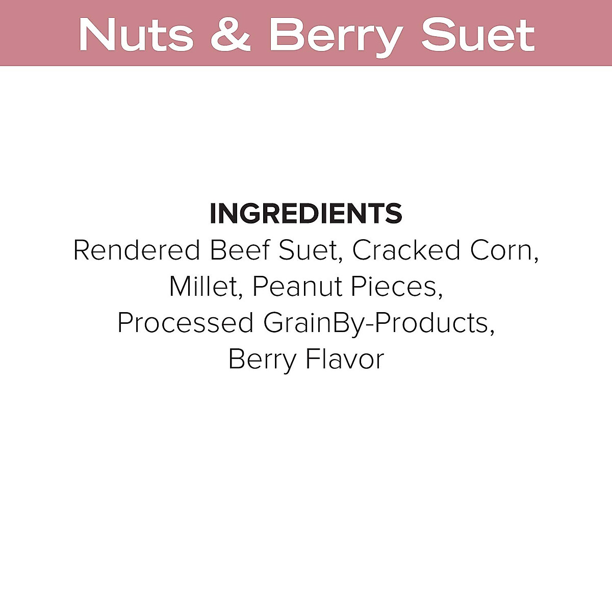 Blue Seal Nuts & Berry Suet Cake | No Mess Wild Bird Suet | 11 oz (12 Pack)