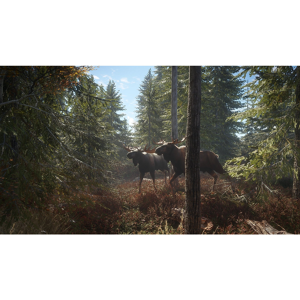 theHunter: Call of the Wild - PlayStation 4