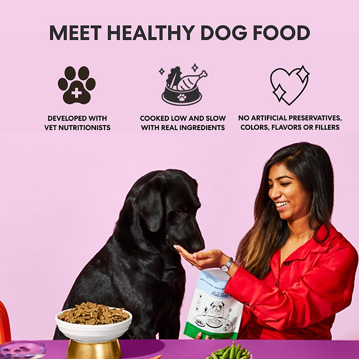 The Pets Table Beef & Berries Grain-Free Air-Dried Dog Food, 16-Ounce Bag