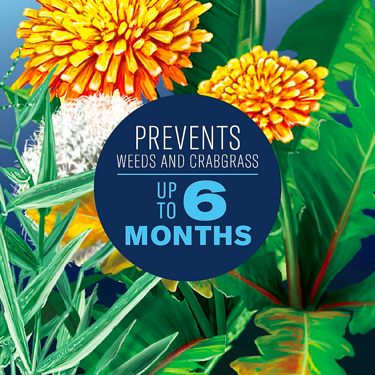 BioAdvanced Season Long Weed Killer Plus Preventer for Norther Lawns, Granules, 9.6 LB