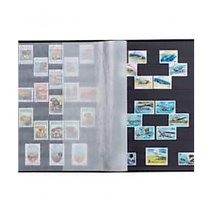 Leuchtturm 315975 DIN A4 Sorter, 16 Black Pages, Non-Padded Cover, Black