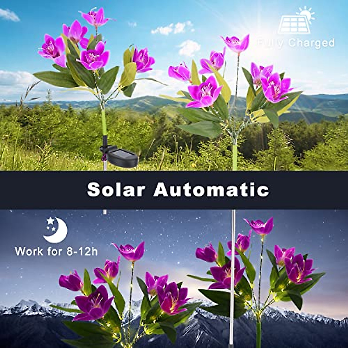 ALANAS Outdoor Solar Decorate Light, 2 Pack Dendrobium Orchid Garden Stake Lights with 7 Flowers, Waterproof LED Solar Powered Lights for Patio, Pathway, Courtyard, Garden Law.