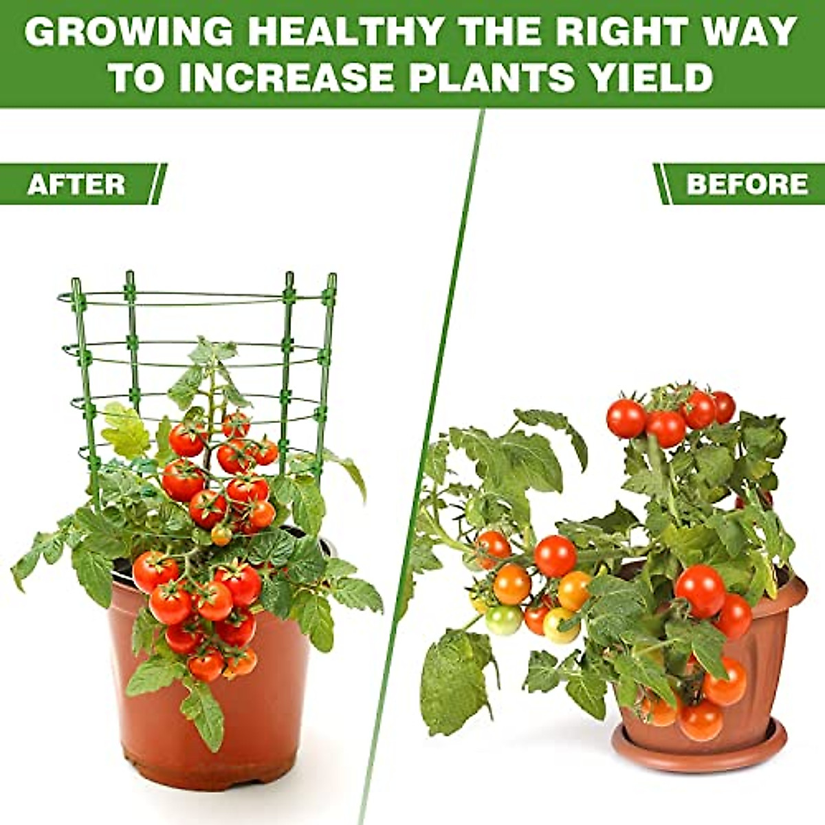 Tomato Cage for Pots 36 inch 4 Pack Garden Plant Support Tomatoes Trellis Cages with 4 Stakes & 5 Adjustable Rings for Cherry Tomato Vegetables Cucumber Climbing Plants Flower Rose Indoor Outdoor
