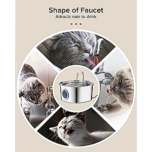 PEKTACO Cat Water Fountain, Pet Water Fountain for Cats/Dogs Inside, Stainless Steel Cat Drinking Fountains with Water Level Window(3.2L/108oz)