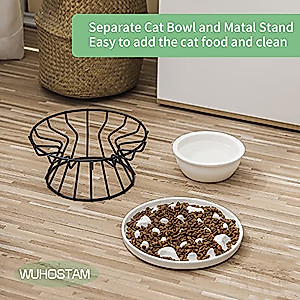 Elevated Slow Feeder Bowl for Cats and Small Dogs with Stand and Water Bowl, Ceramic Raised Cat Puzzle Food Plate, Healthy Eating Anti Vomiting Pet Feeding Dish, Against Bloat, Indigestion, White
